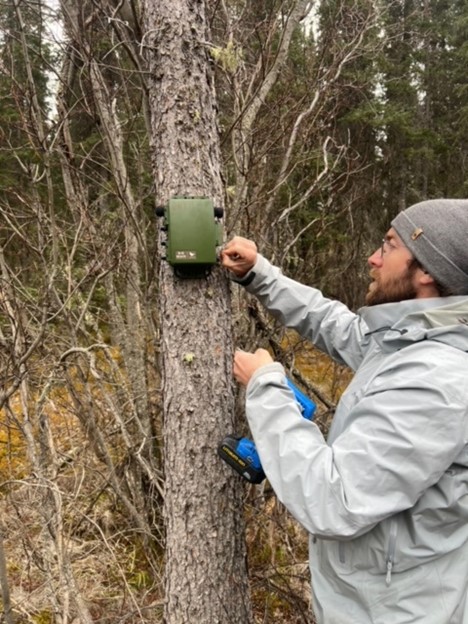 Kaska Bird Monitoring Using Automated Recording Units - Dene K’éh Kusān