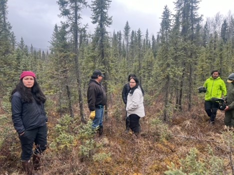Kaska Bird Monitoring Using Automated Recording Units - Dene K’éh Kusān